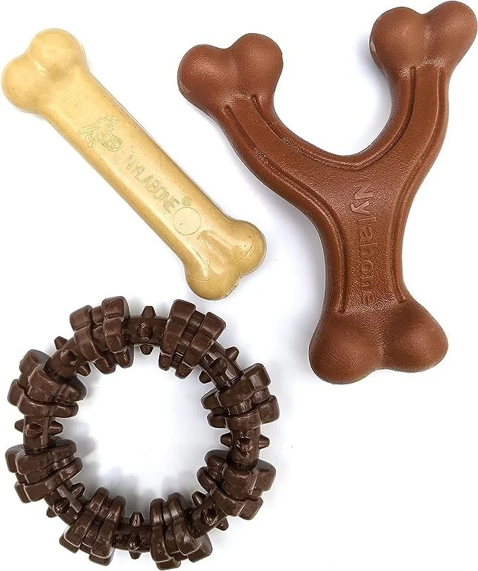What is Nylabone and Why is it the Best Dog Chew Option? — The Woof