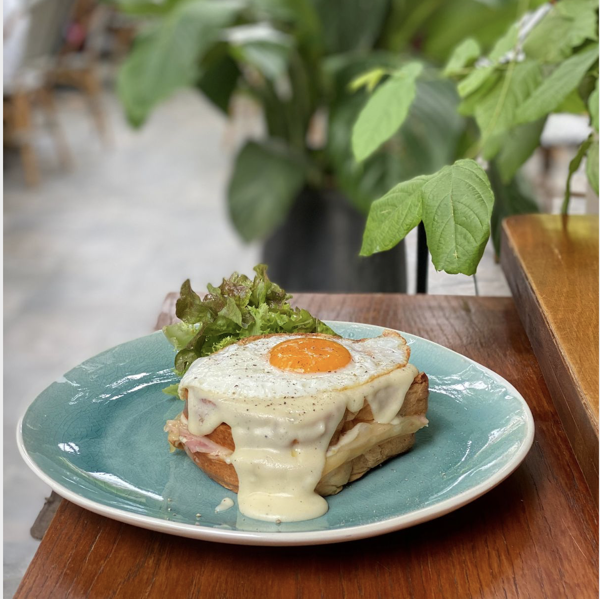 Gallery — MAD Wine Bar & Eatery