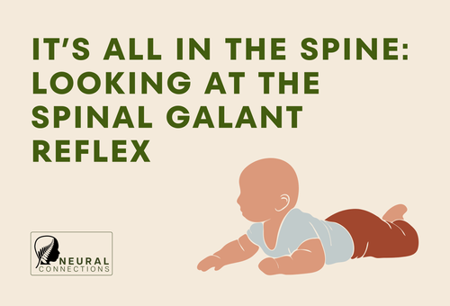 It's All in the Spine: Spinal Galant Reflex — Neural Connections Singapore