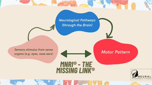 What Is MNRI and How Does It Help? — Neural Connections Singapore
