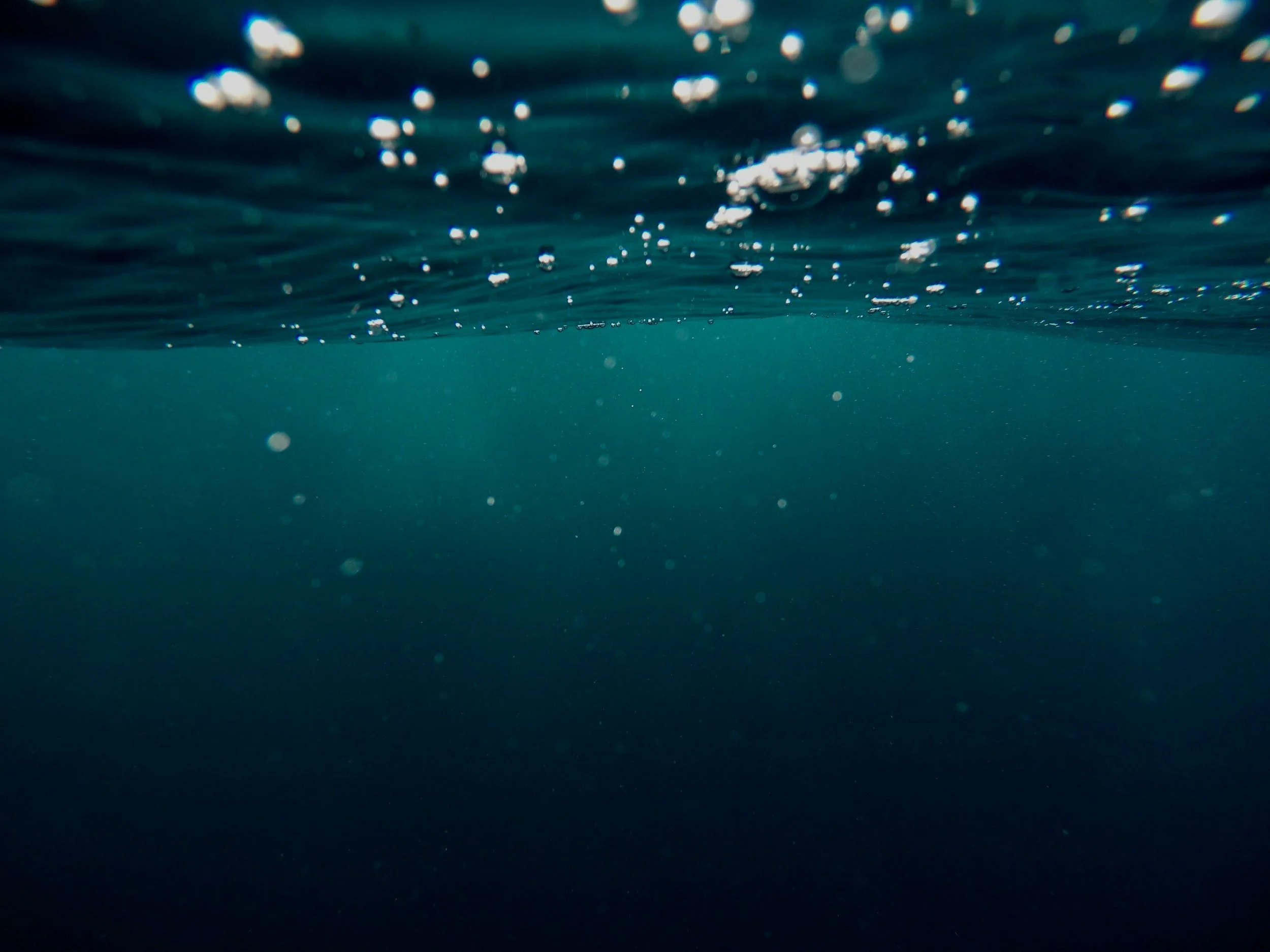 Float To Survive Australia