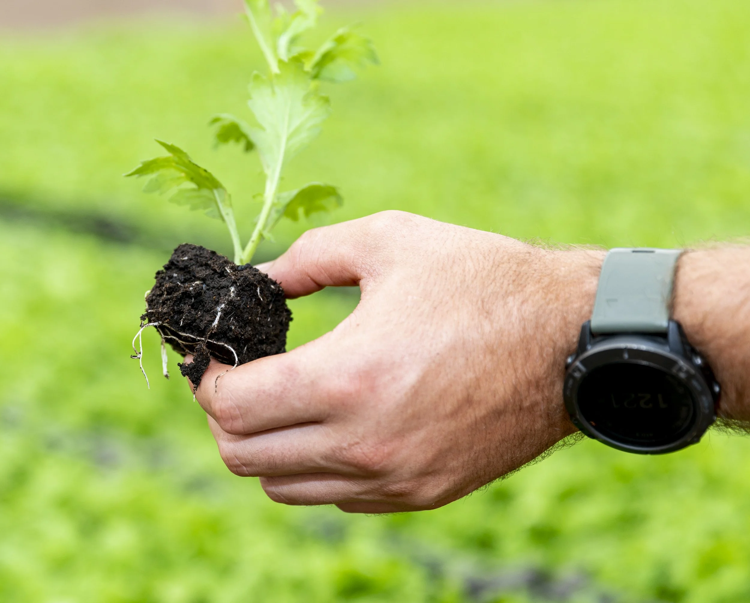 Products — 9Five Integrated Nutrient Systems