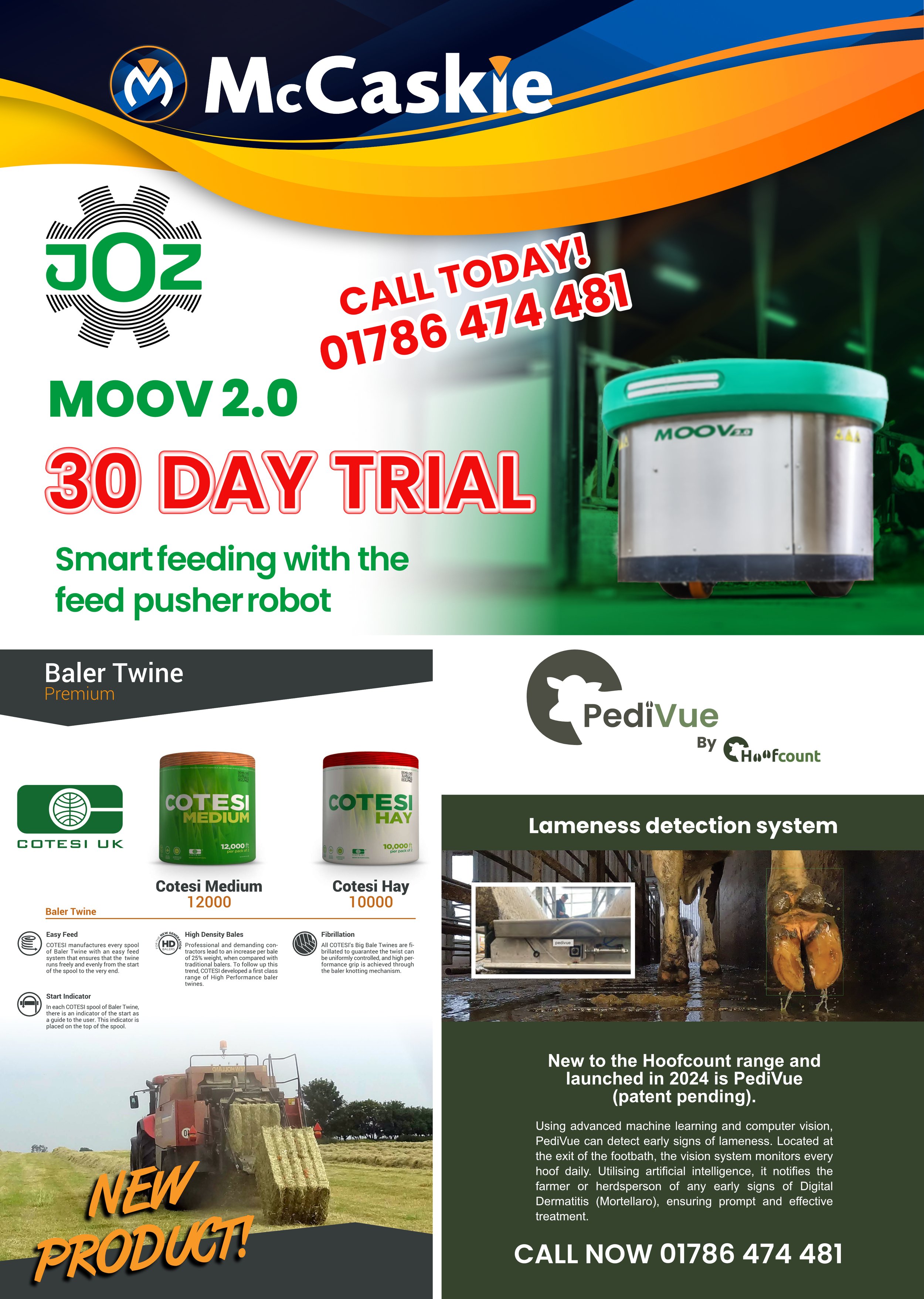 Newsletter July 2024 — McCaskie