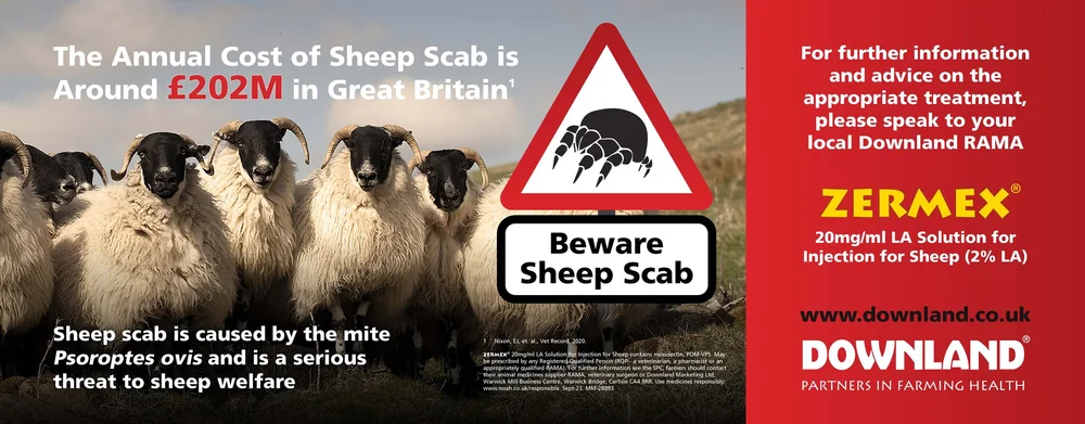 Beware Sheep Scab! — McCaskie