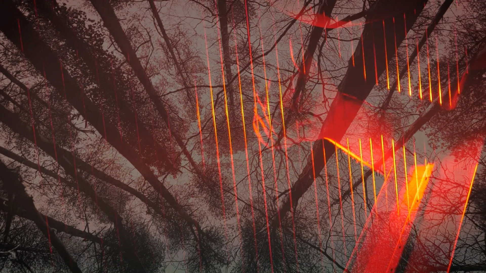 Abhartach - Siobhán Cleary — Úna Monaghan