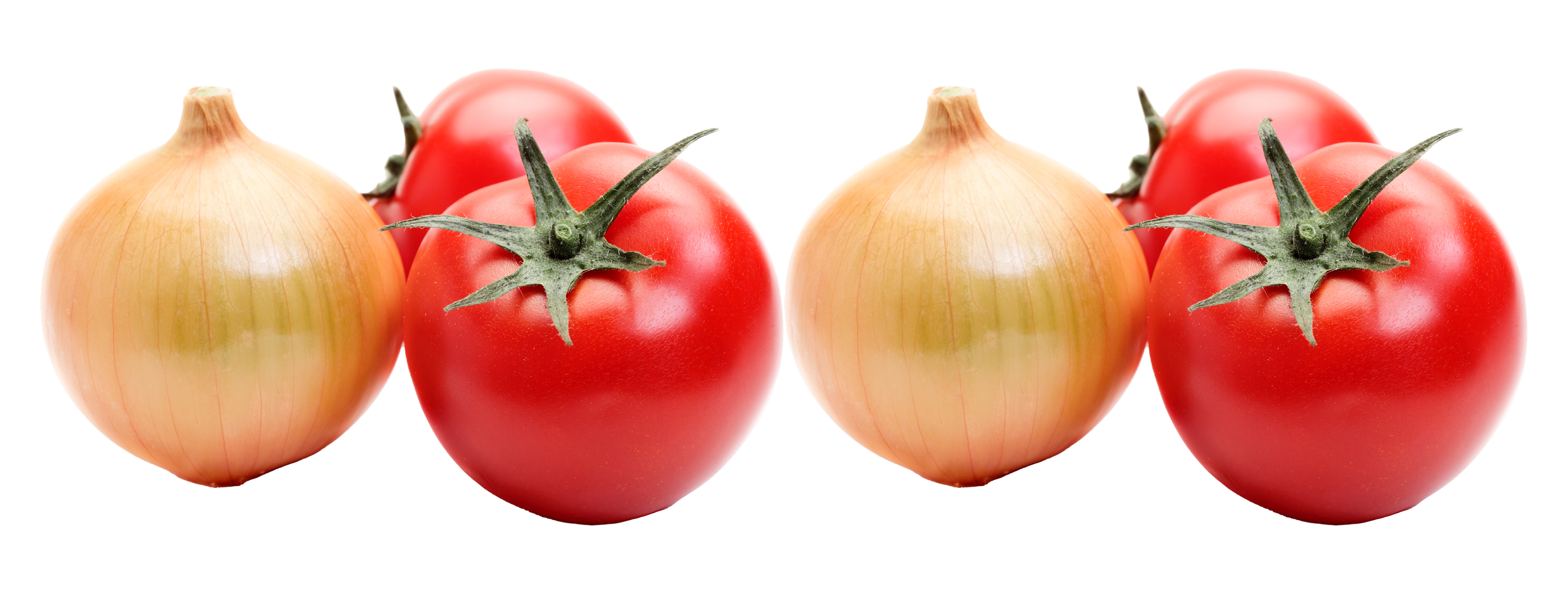 Recipes — Salsa Lisa