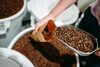Dear Green Coffee Roasters – Experience Glasgow Coffee — Experience ...