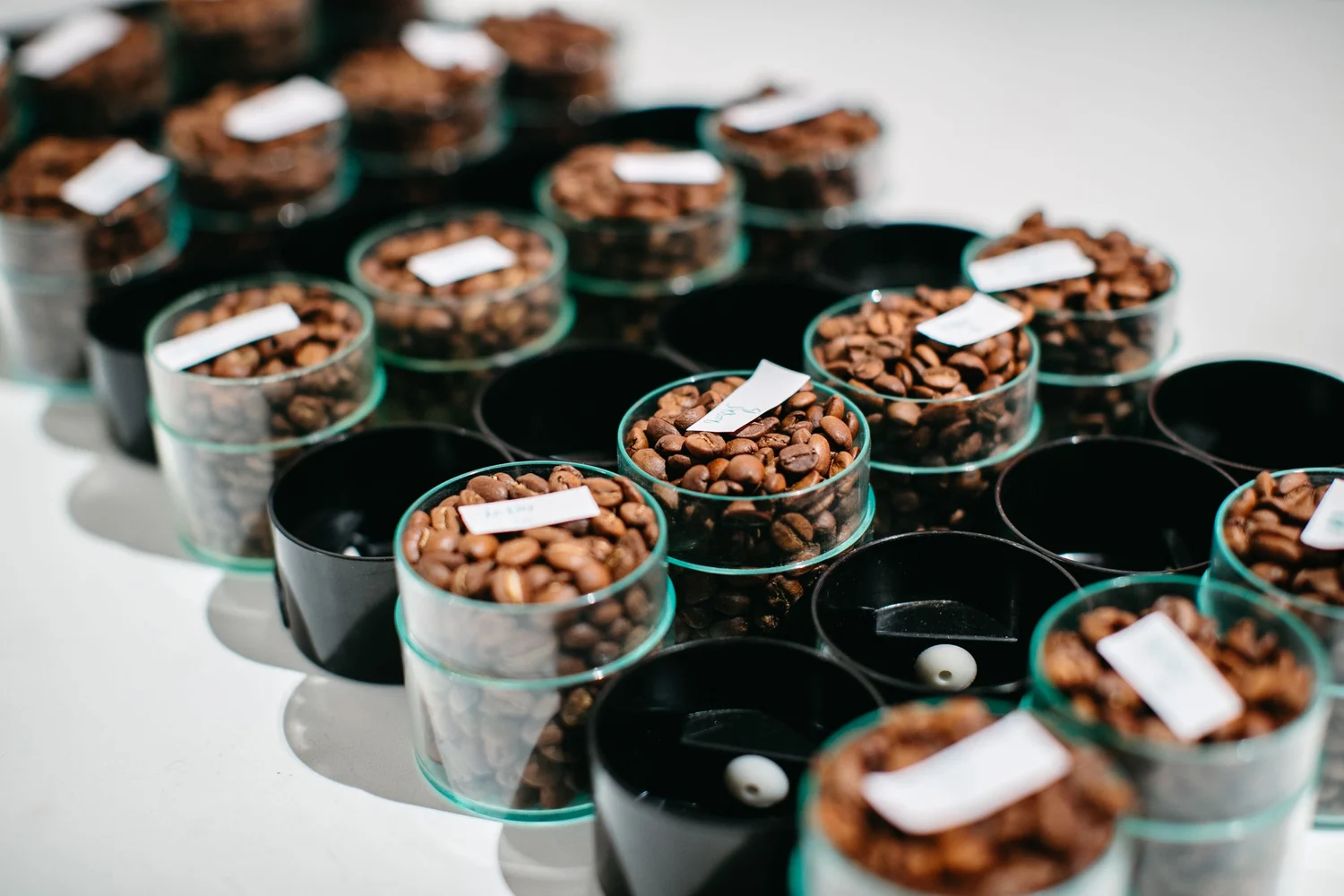 Dear Green Coffee Roasters – Experience Glasgow Coffee — Experience ...
