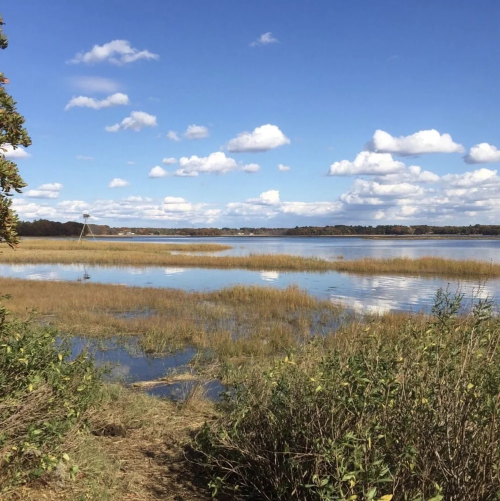 Our Community — BARRINGTON RI GARDEN CLUB