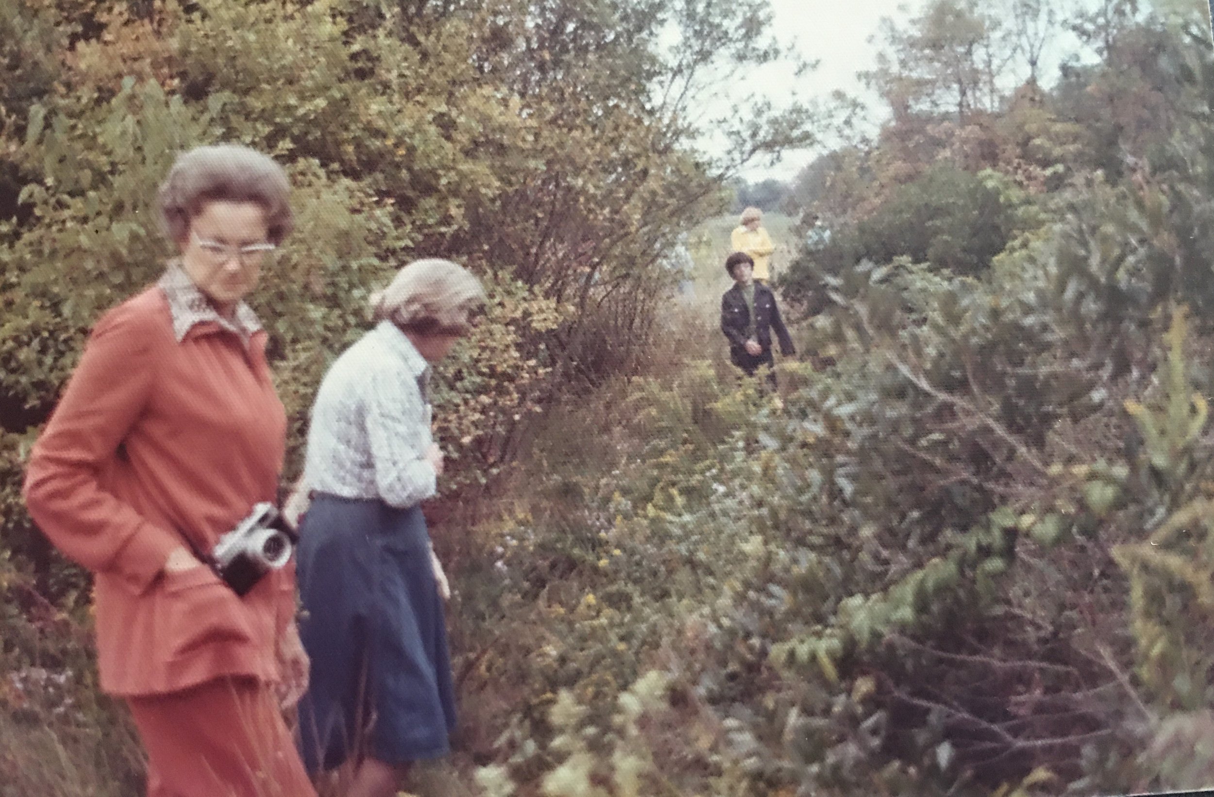 BARRINGTON RI GARDEN CLUB