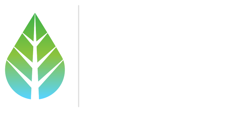About Us — Folium Capital