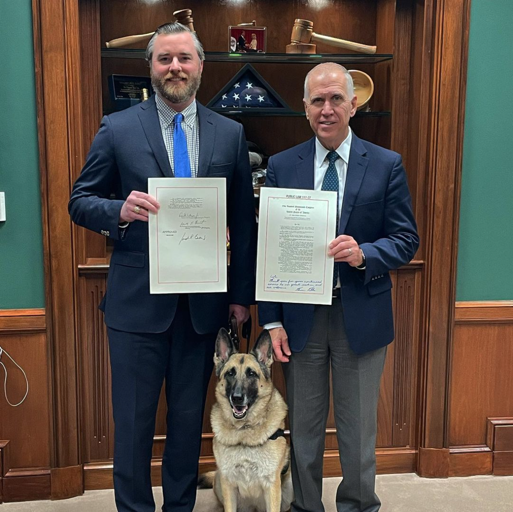 Kaya's K9s