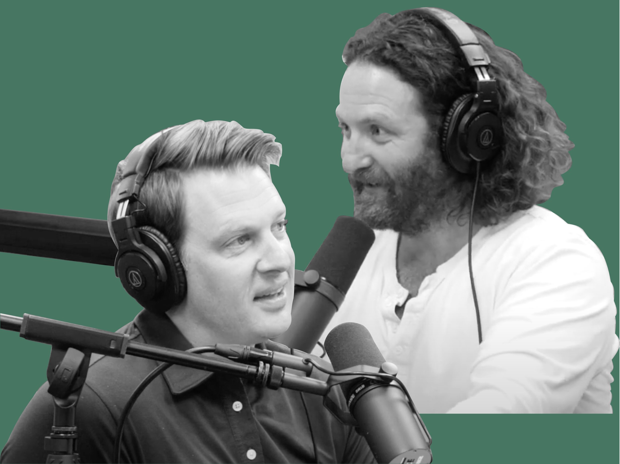 ReSeed Insights — ReSeed