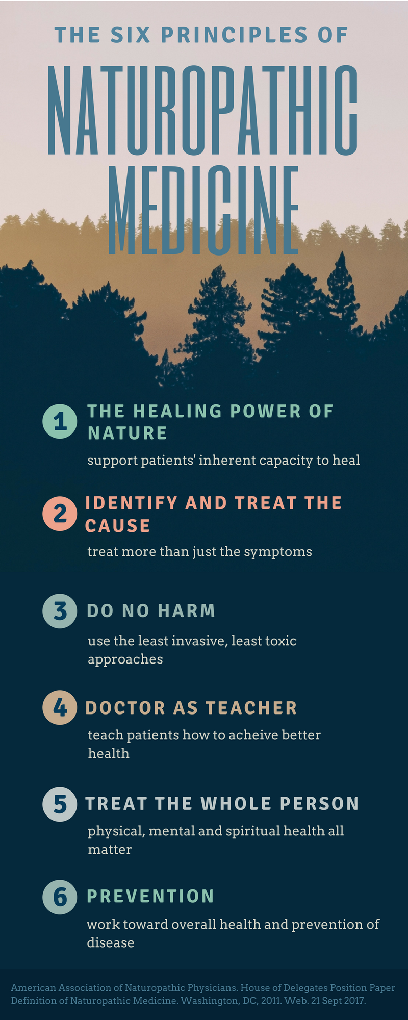 Naturopathic Medicine — Dr. Katy Morrison