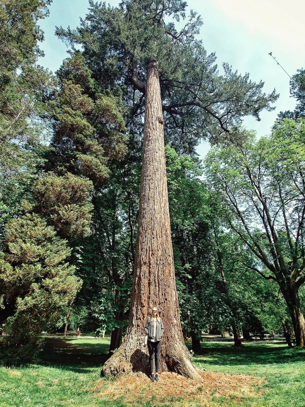 Contact — LYNDSIE BOURGON