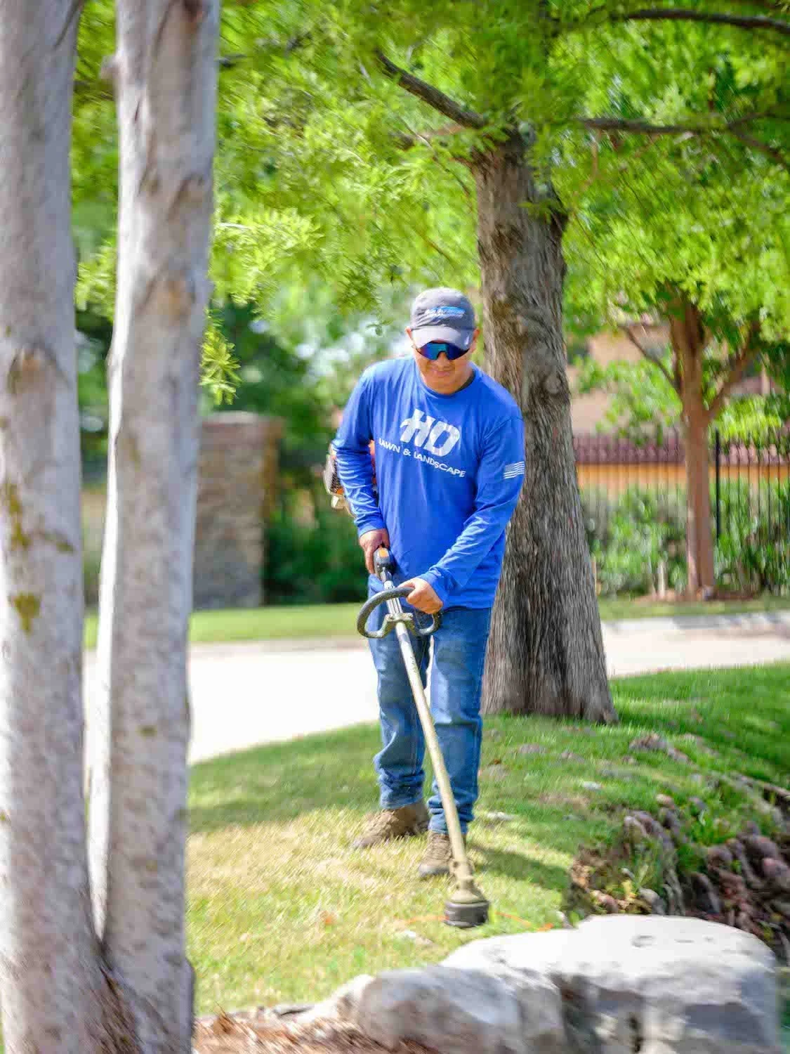 Gallery — High Definition Lawn and Landscape