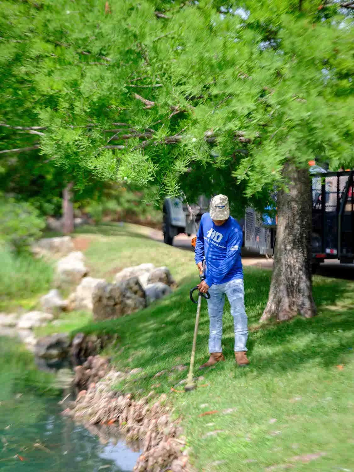 Gallery — High Definition Lawn and Landscape