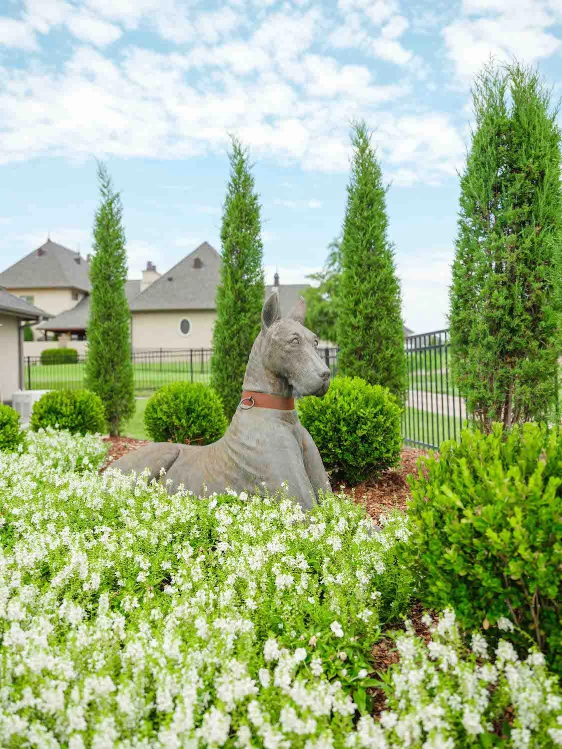 Gallery — High Definition Lawn and Landscape