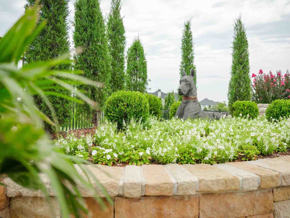 Gallery — High Definition Lawn and Landscape