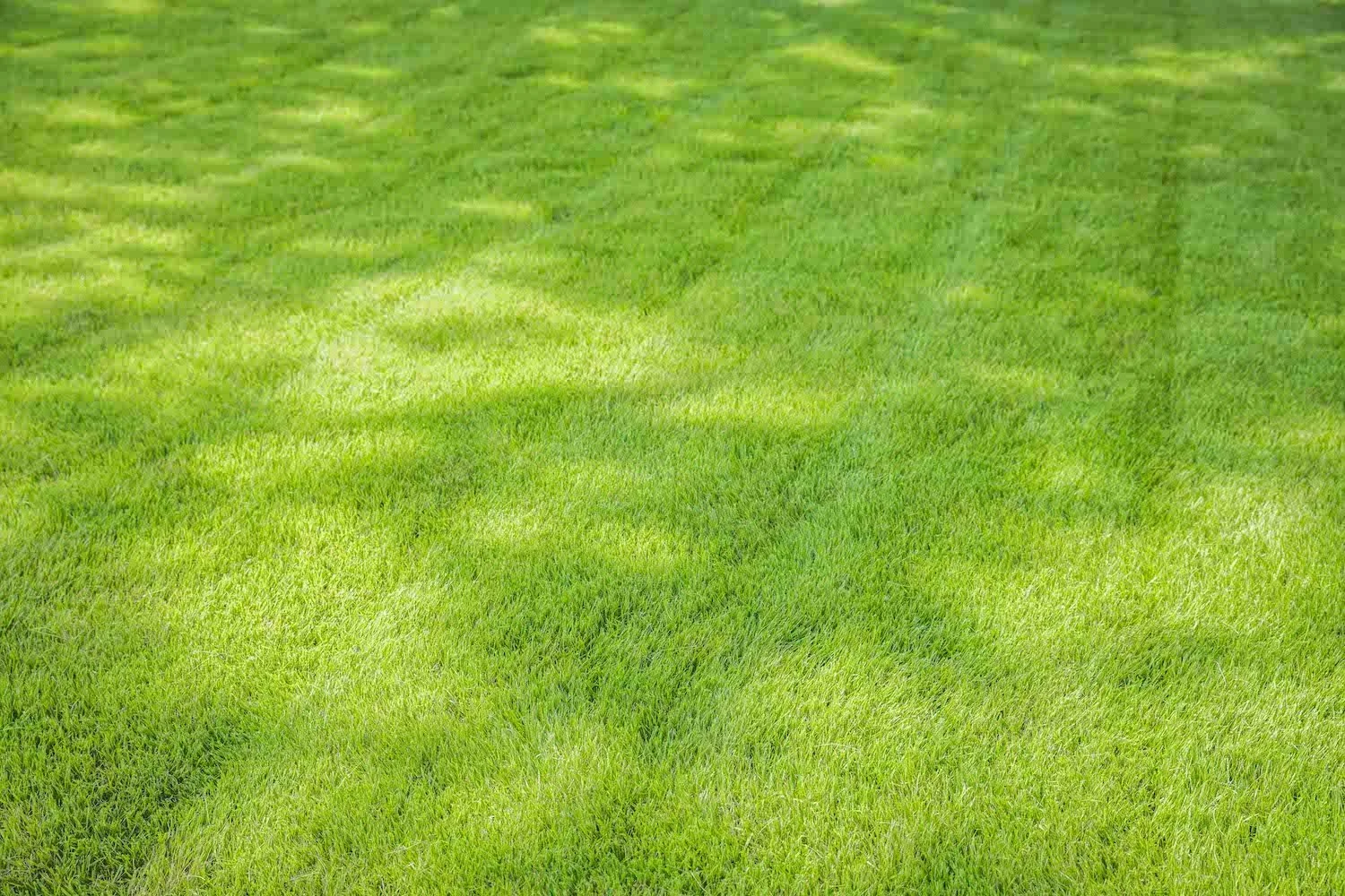 Gallery — High Definition Lawn and Landscape
