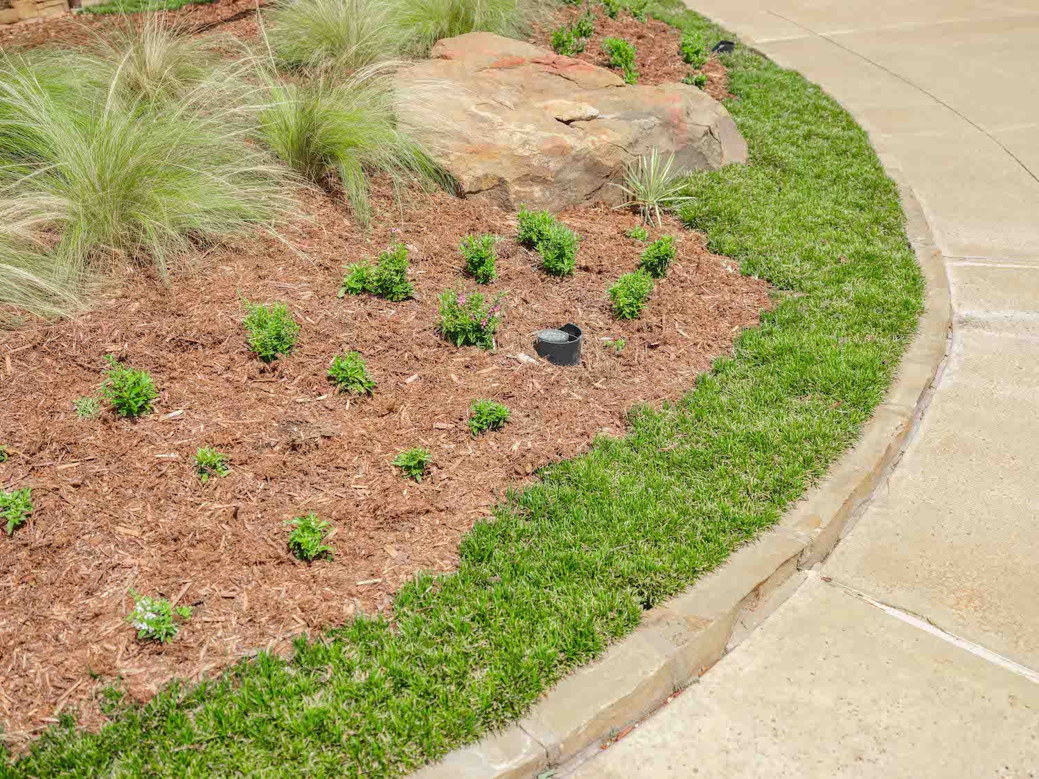 Gallery — High Definition Lawn and Landscape