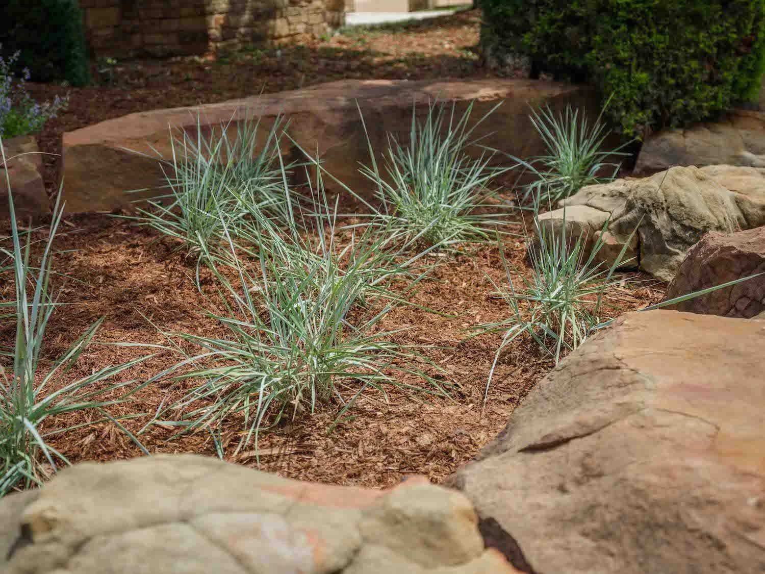 Gallery — High Definition Lawn and Landscape