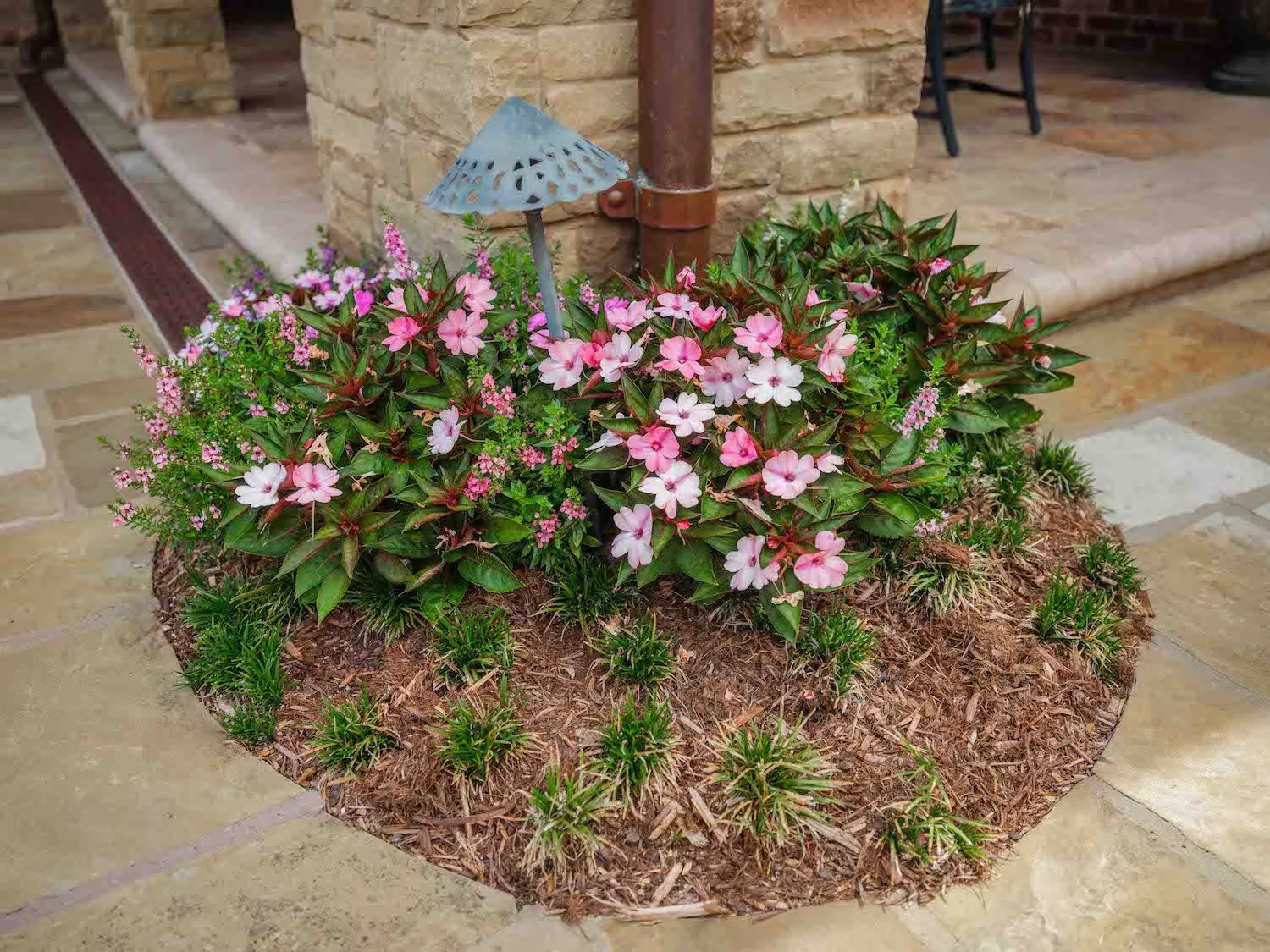 Gallery — High Definition Lawn and Landscape