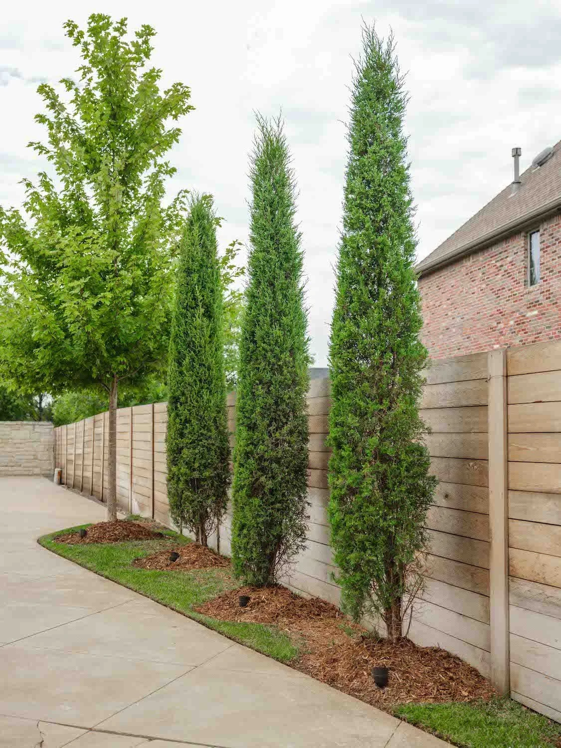 Gallery — High Definition Lawn and Landscape