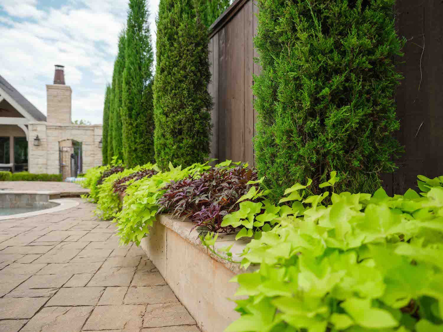 Gallery — High Definition Lawn and Landscape