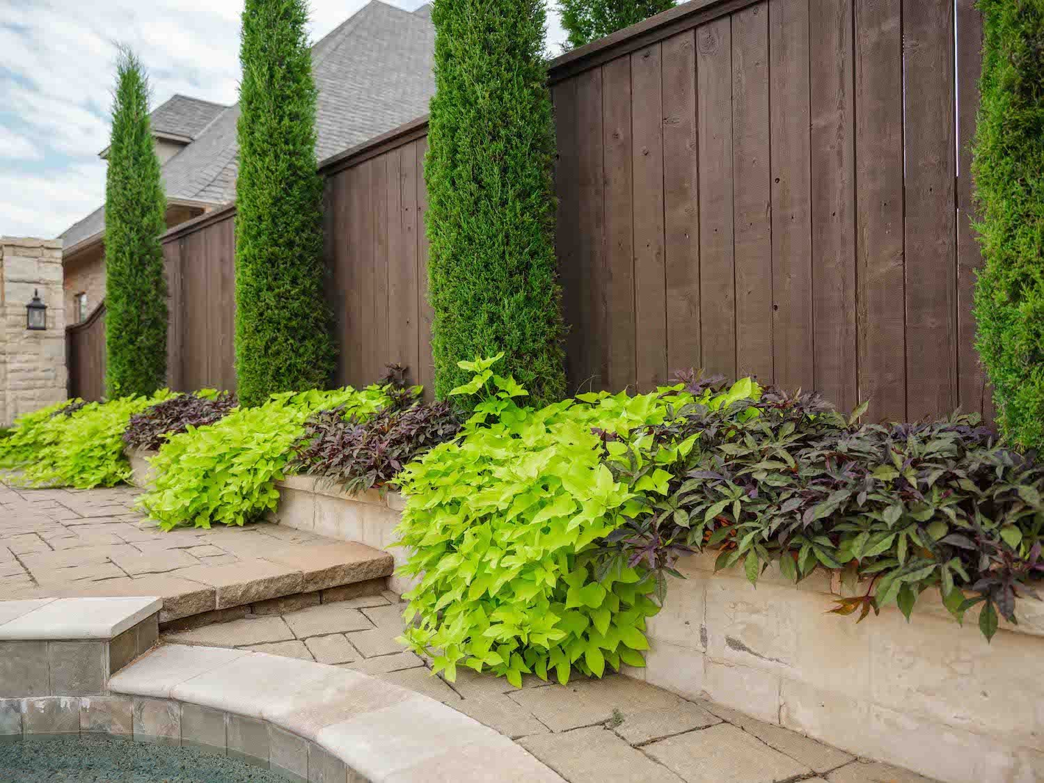 Gallery — High Definition Lawn and Landscape