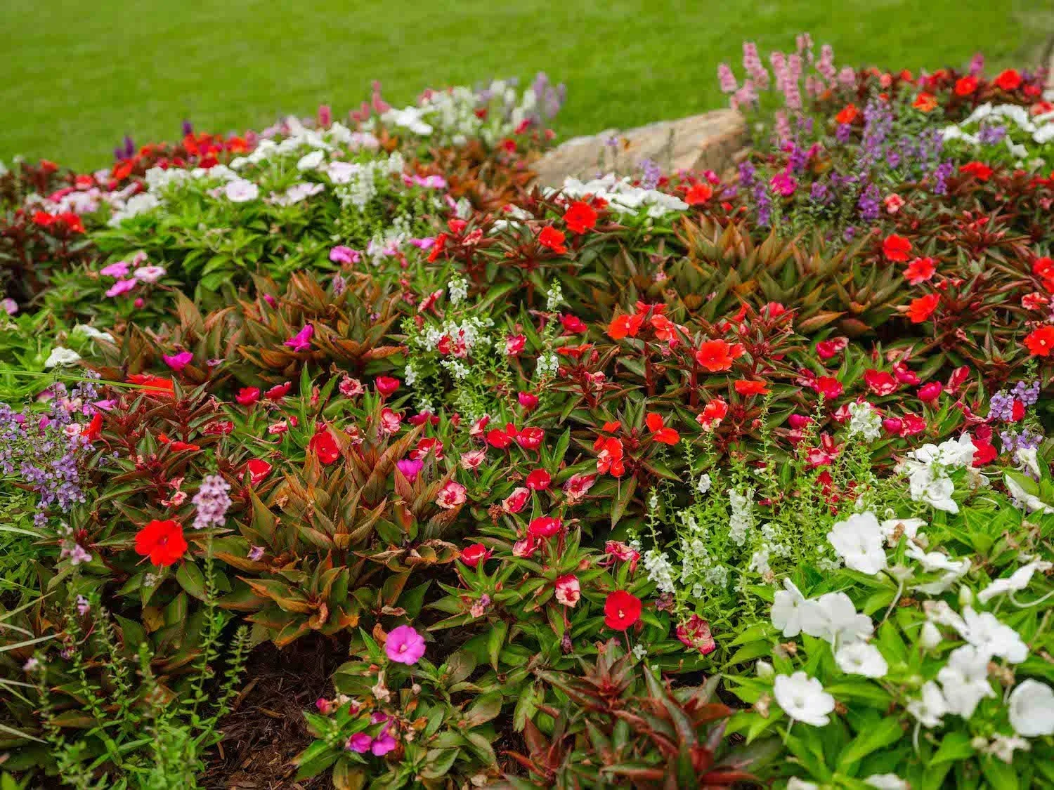 Gallery — High Definition Lawn and Landscape