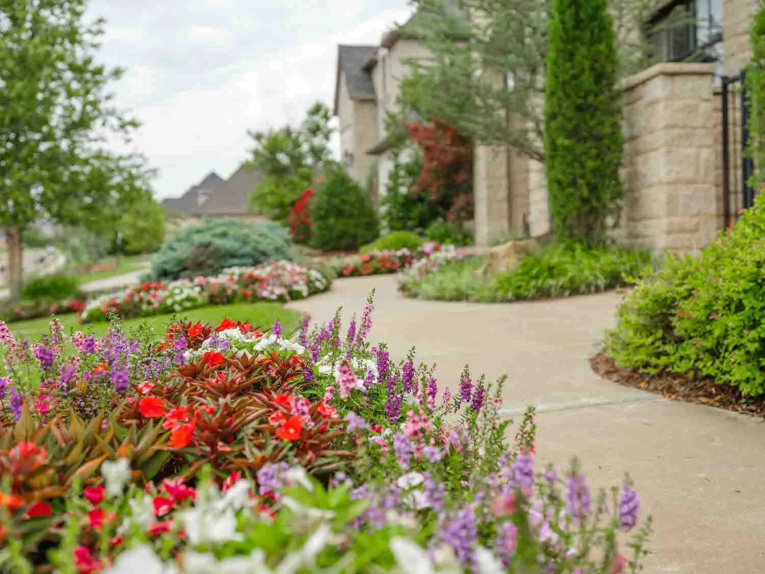 Gallery — High Definition Lawn and Landscape