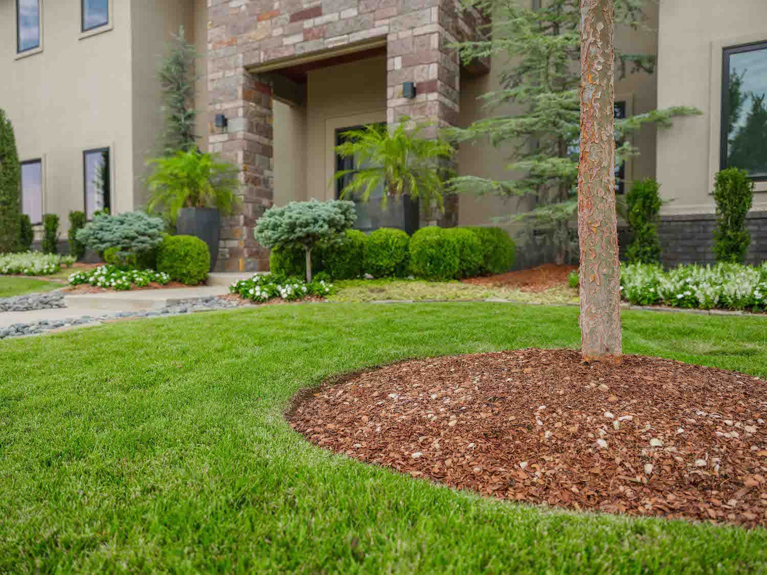 Gallery — High Definition Lawn and Landscape