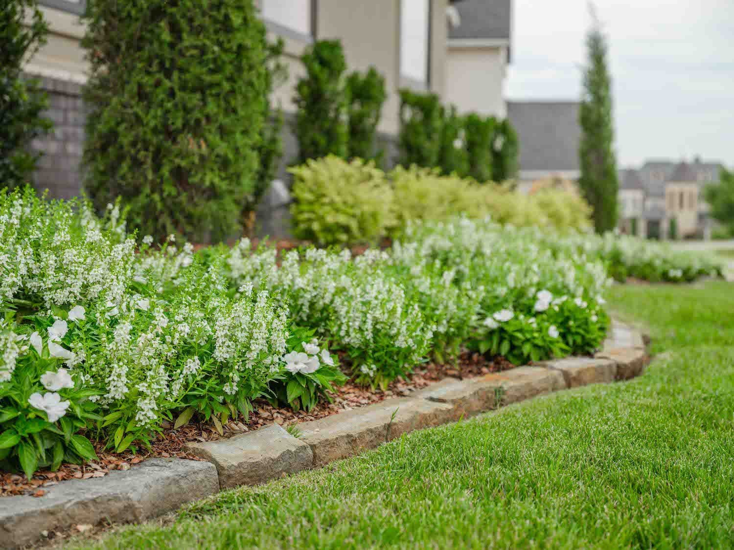 Gallery — High Definition Lawn and Landscape