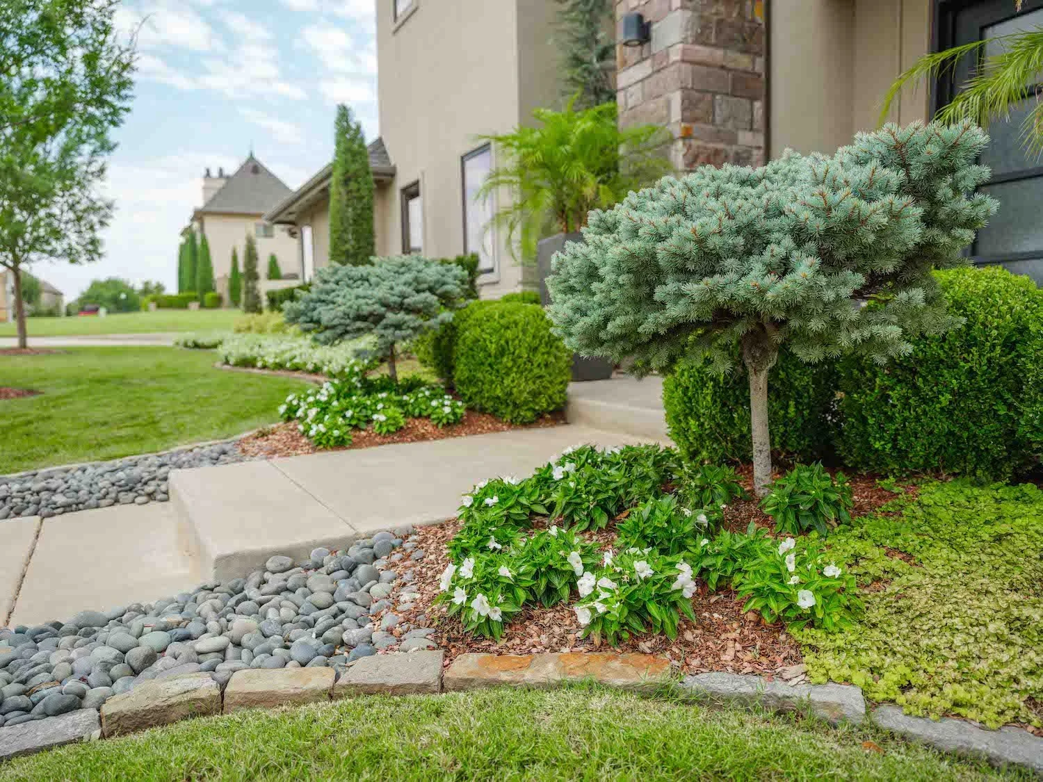 Gallery — High Definition Lawn and Landscape