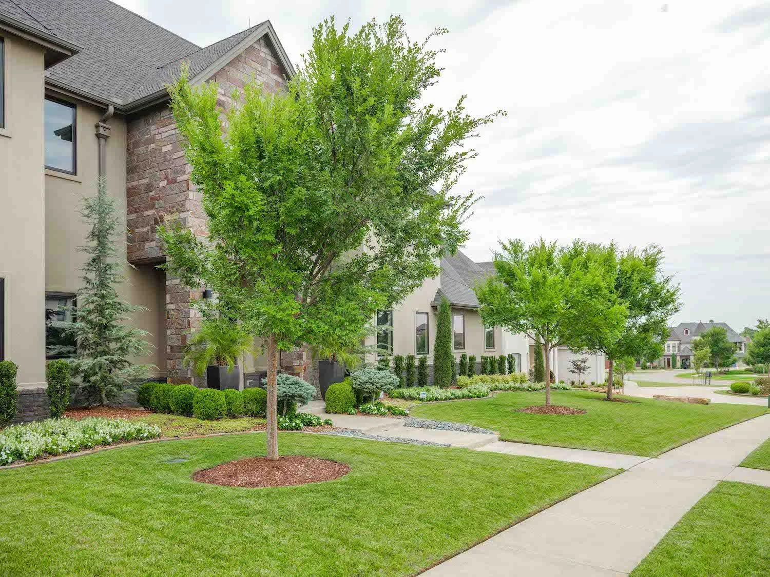 Gallery — High Definition Lawn and Landscape