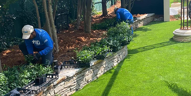 High Definition Lawn and Landscape