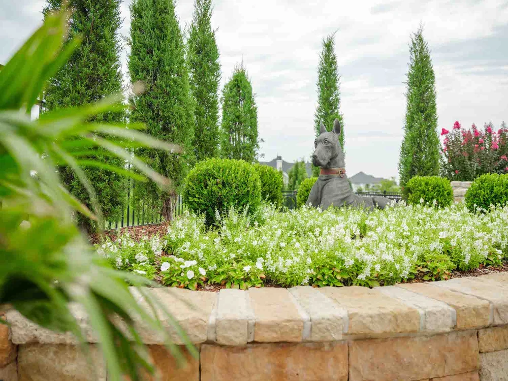 Gallery — High Definition Lawn and Landscape
