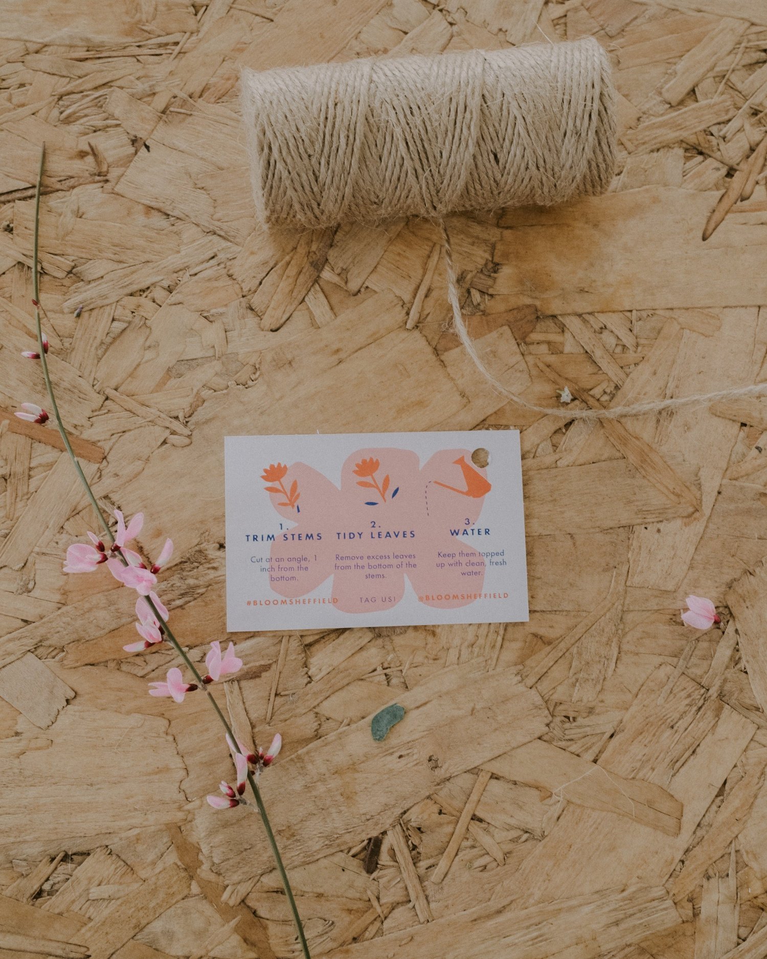 Florist Series: How To Condition Flowers — Bloom Sheffield
