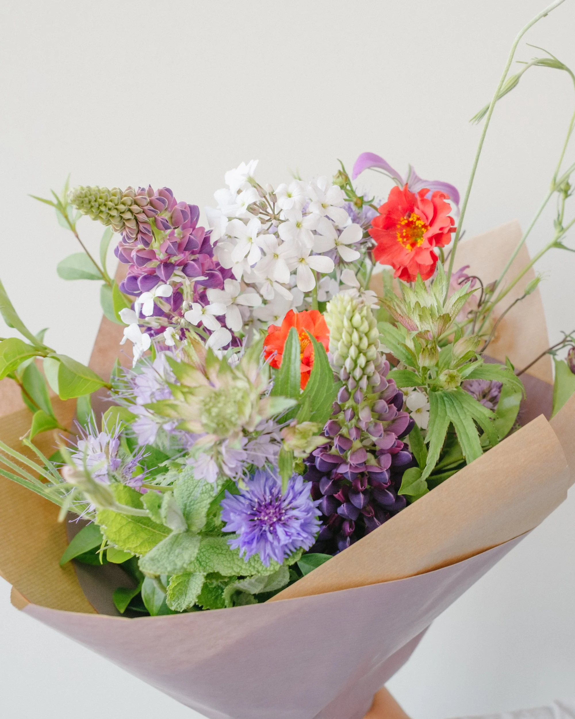 Events — Bloom Sheffield