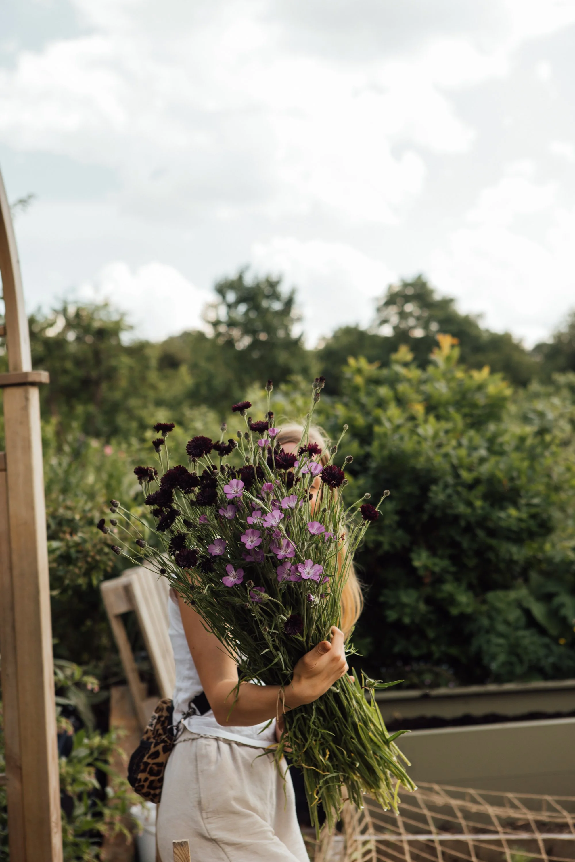 Buy Our Flowers — Bloom Sheffield