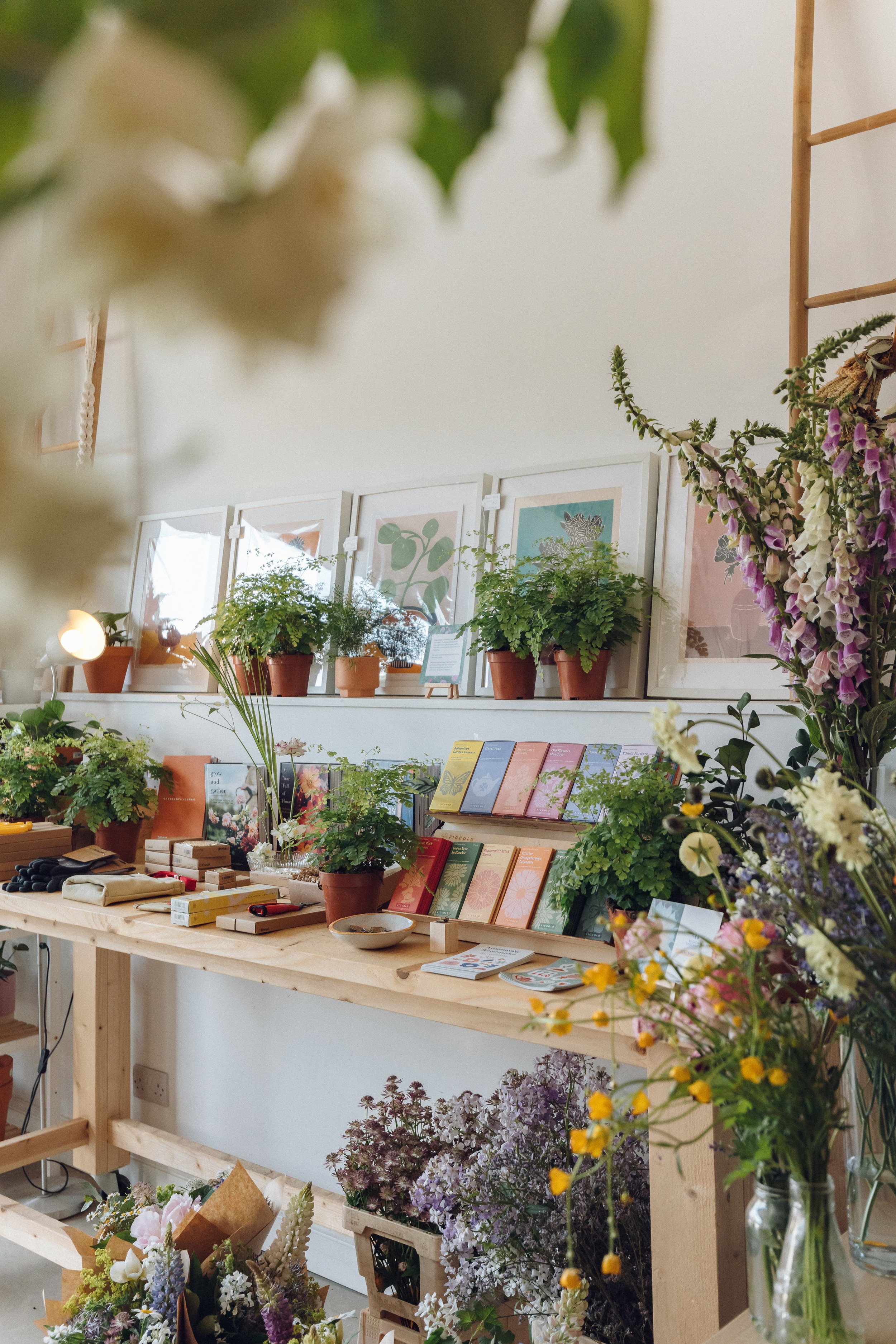 Buy Our Flowers — Bloom Sheffield
