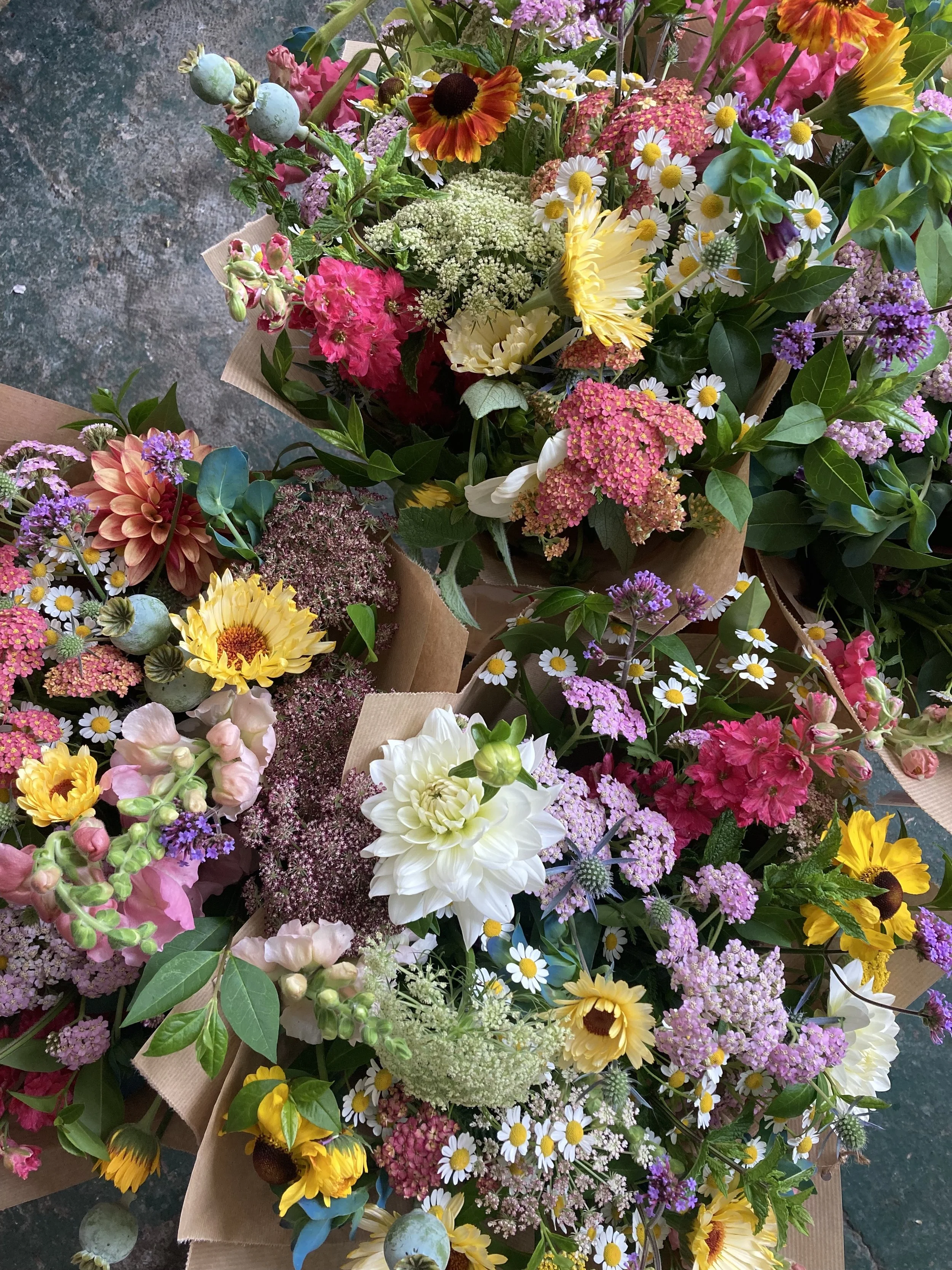 Shop — Bloom Sheffield