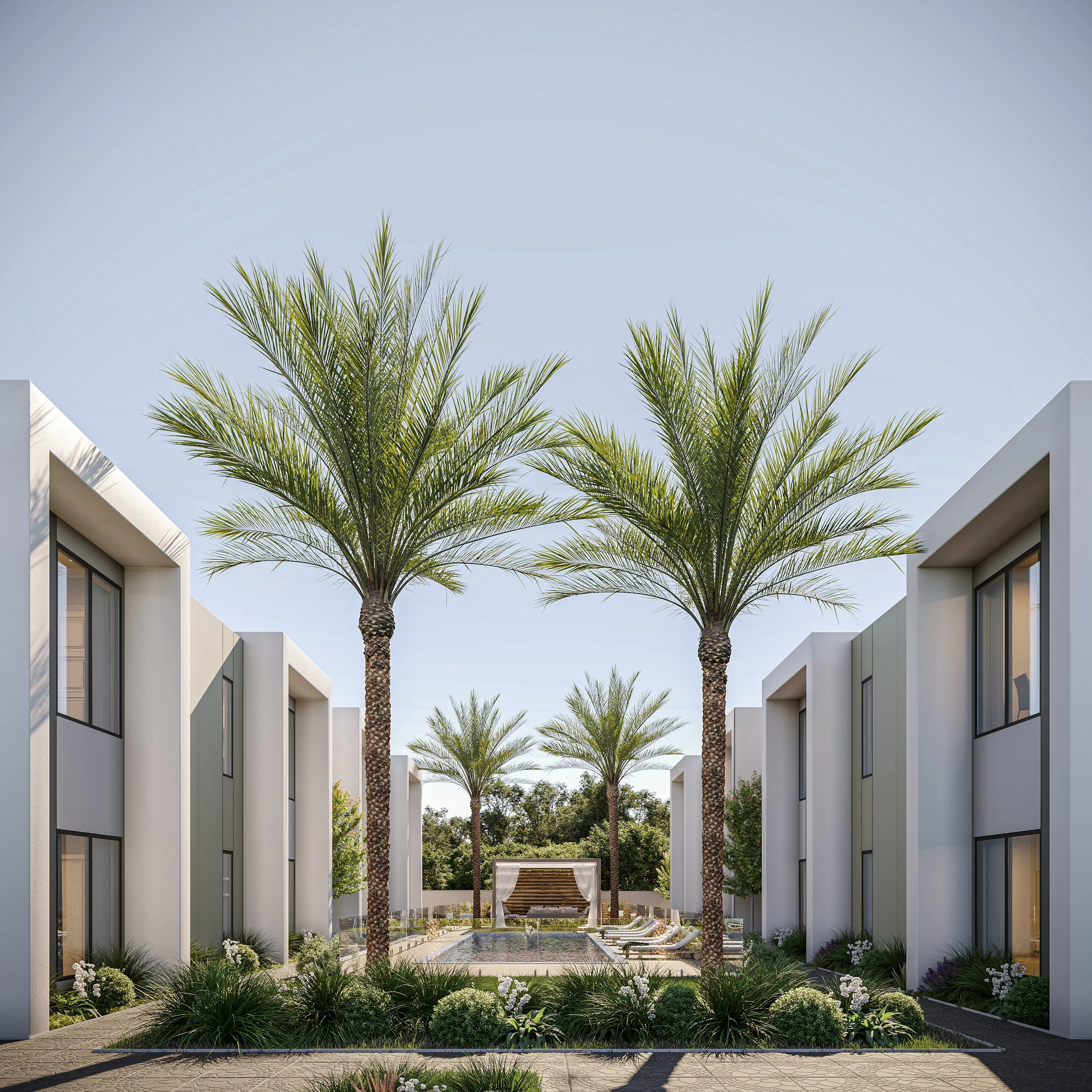 Gallery — Arcadia Views