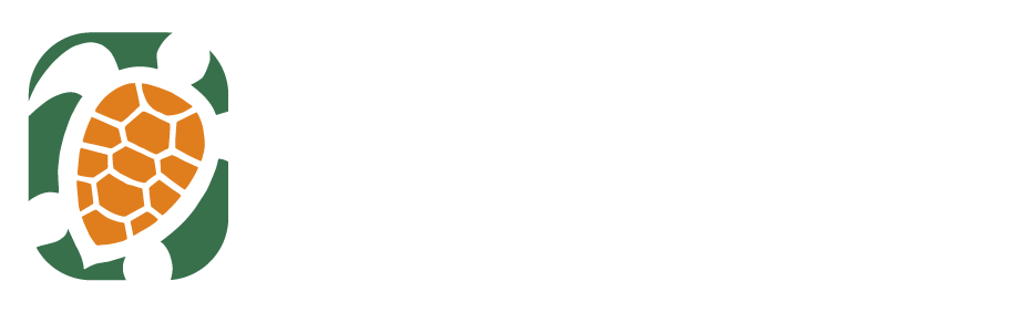 Nation Group of Companies