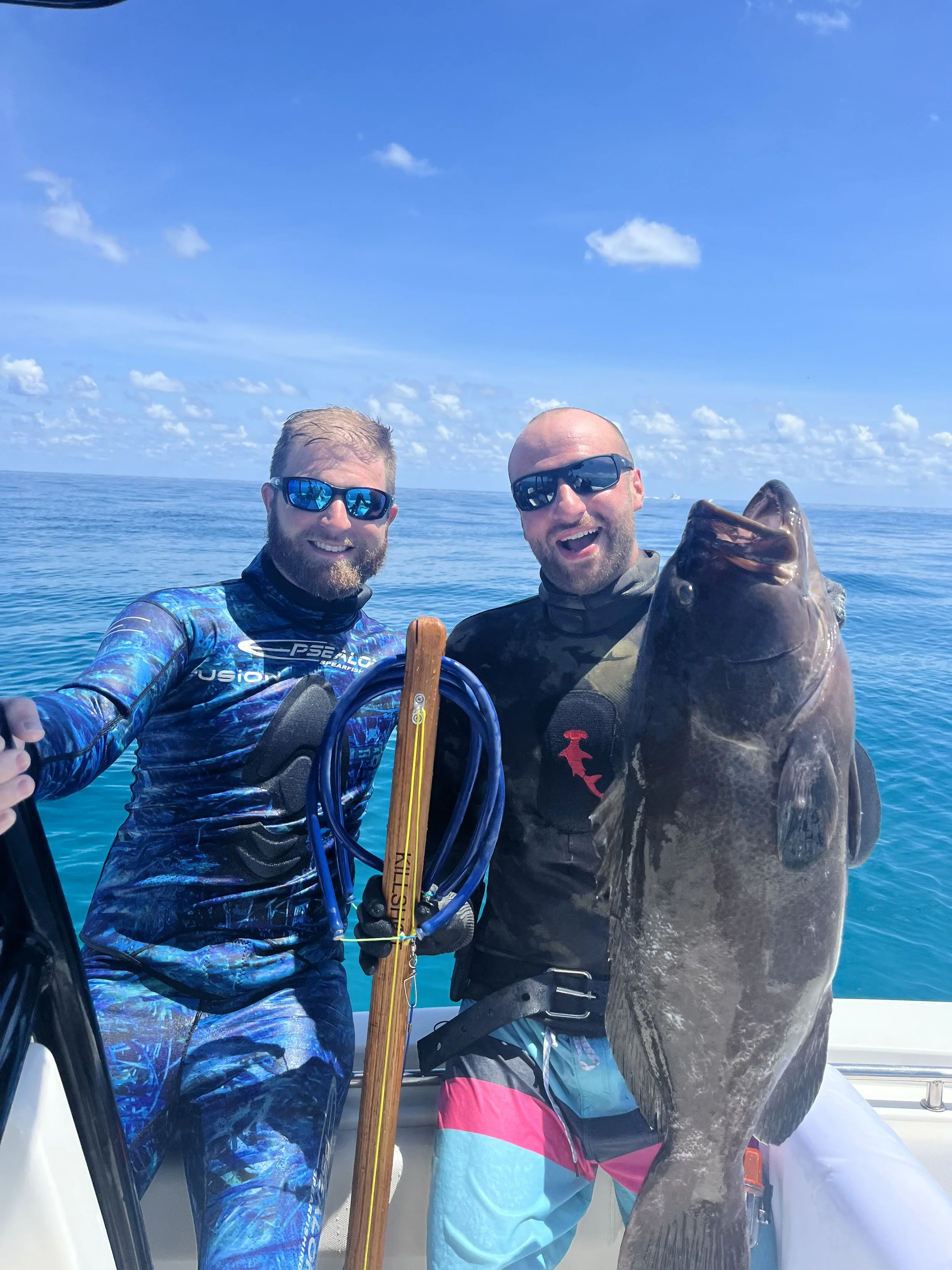 Courses — Deep Blue Freediving