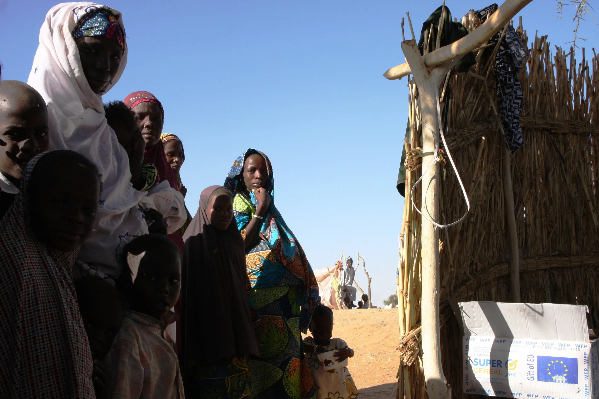 Nigeria’s Many Wars, America’s Single Story: Whose Pain Counts ...