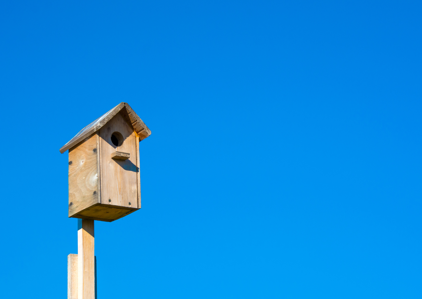 Experiences — Brady's Lookout Cider