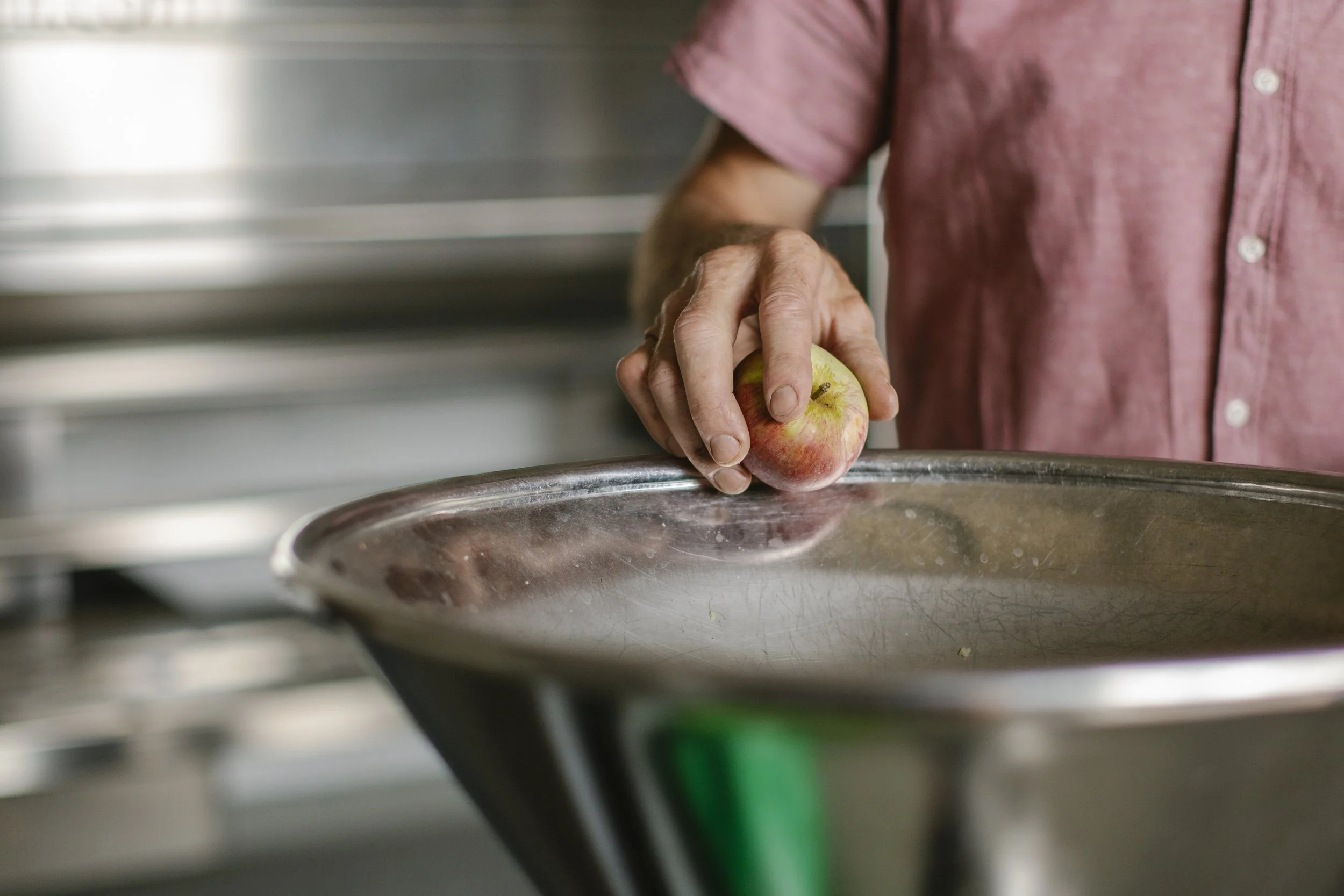 Our Ciders | Discover Unique Flavors — Brady's Lookout Cider