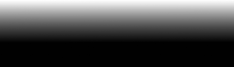 Our Product — Metropolis